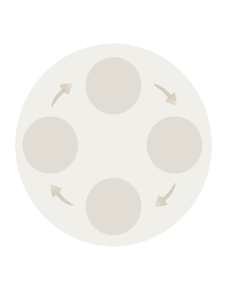 2023 1 Plant Animal Life Cycle Freebie - PDF - 20250926 - 162419 - 0000 ...