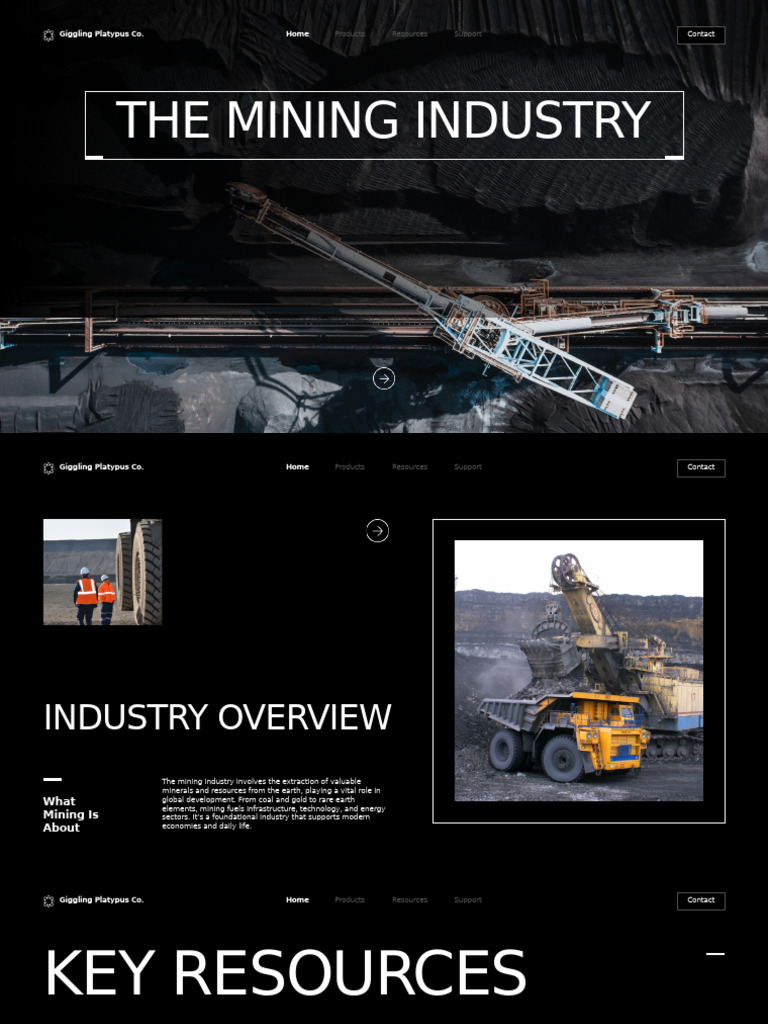 Overview of the Mining Industry | PDF | Mining | Cobalt