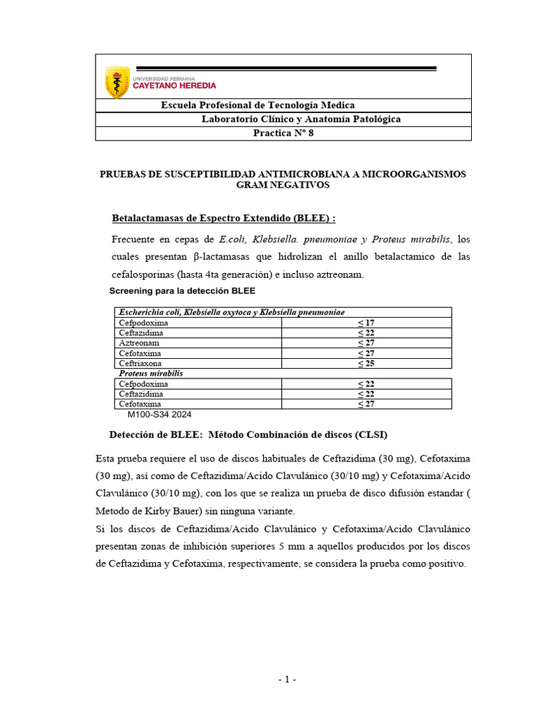 Pruebas de Susceptibilidad a BLEE y AmpC | PDF | Beta lactamasa ...