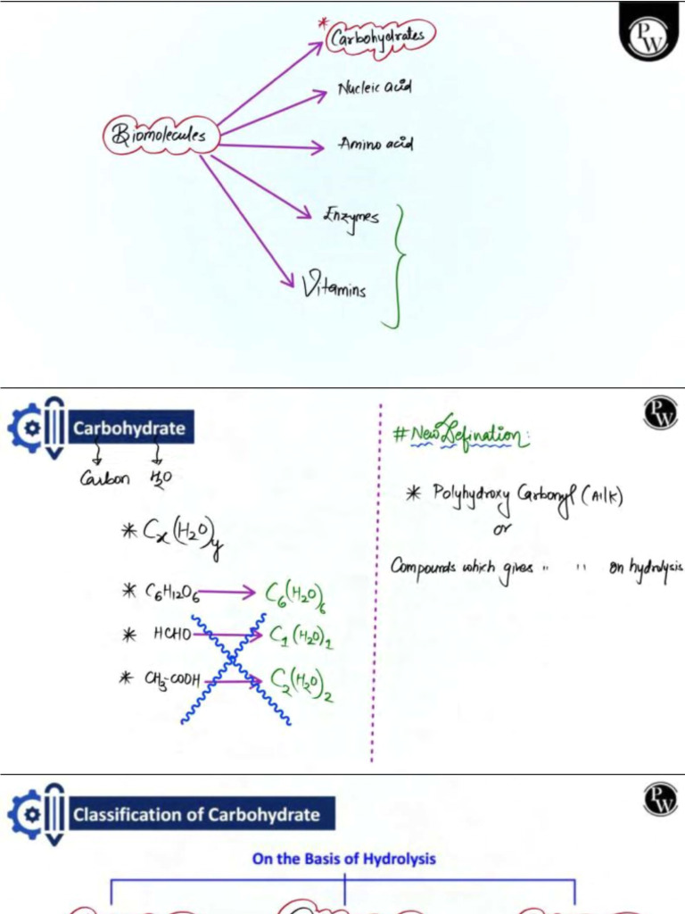 Biomolecules Printable Notes | PDF