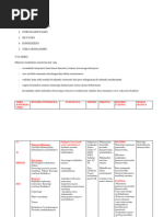 Shona Project | PDF