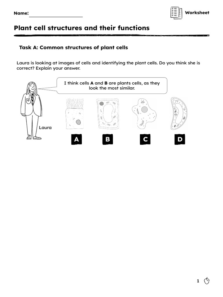 Plant Cell Structures and Functions Worksheet | PDF
