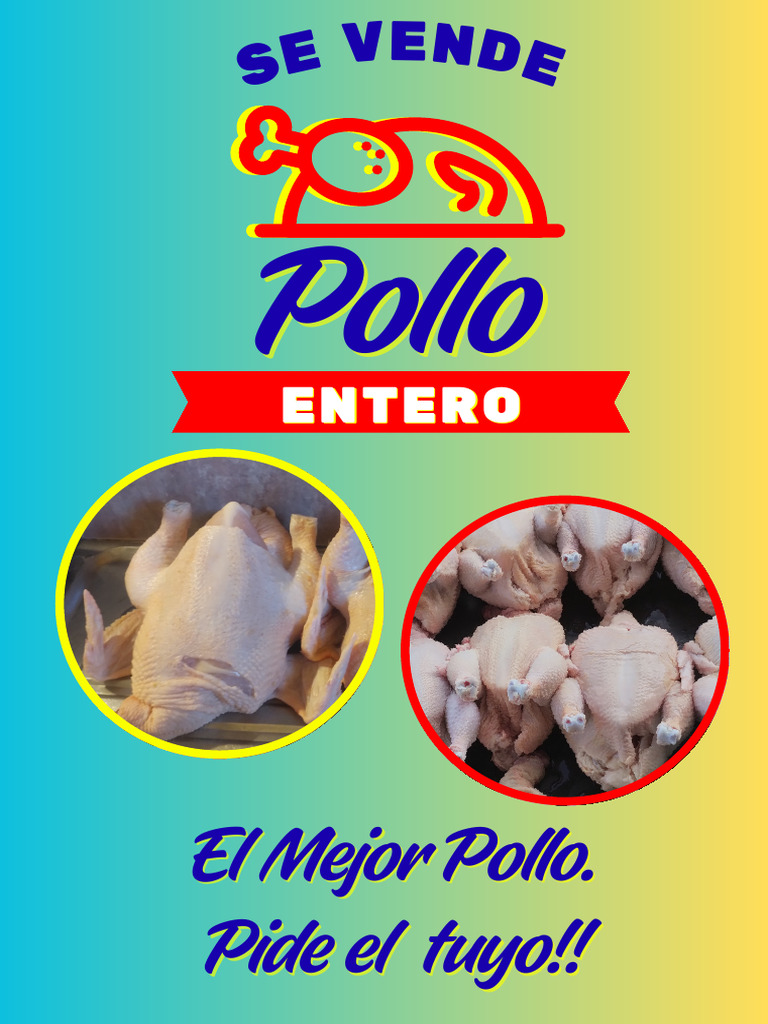 Cartel Anuncio Venta de Pollos Amarillo Rojo y Azul - 20250921 - 115818 ...