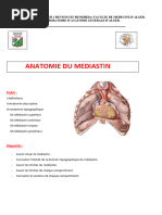 Anatomie du Médiastin: Structure et Zones | PDF | Thymus (anatomie) | Aorte