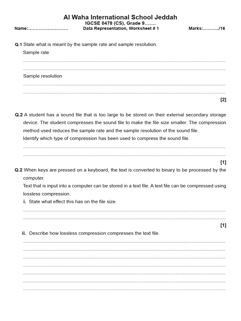 Data Representation Worksheet for IGCSE | PDF | Byte | Data Compression