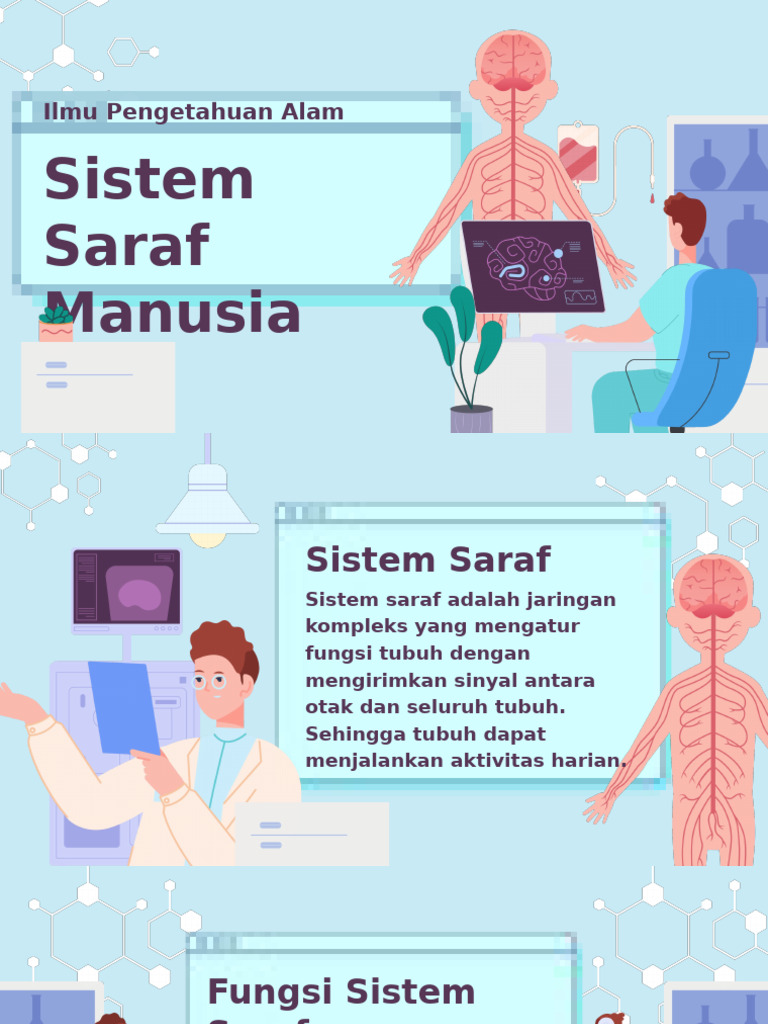 Sistem Saraf Manusia Presentasi Pendidikan Biru Dan Krem Simpel Dan ...