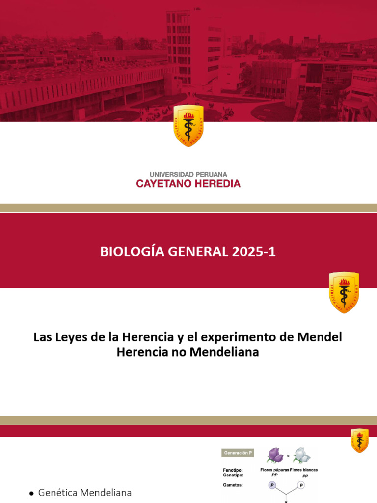 Leyes de Herencia y Genética Mendeliana | PDF | Dominancia (Genética ...