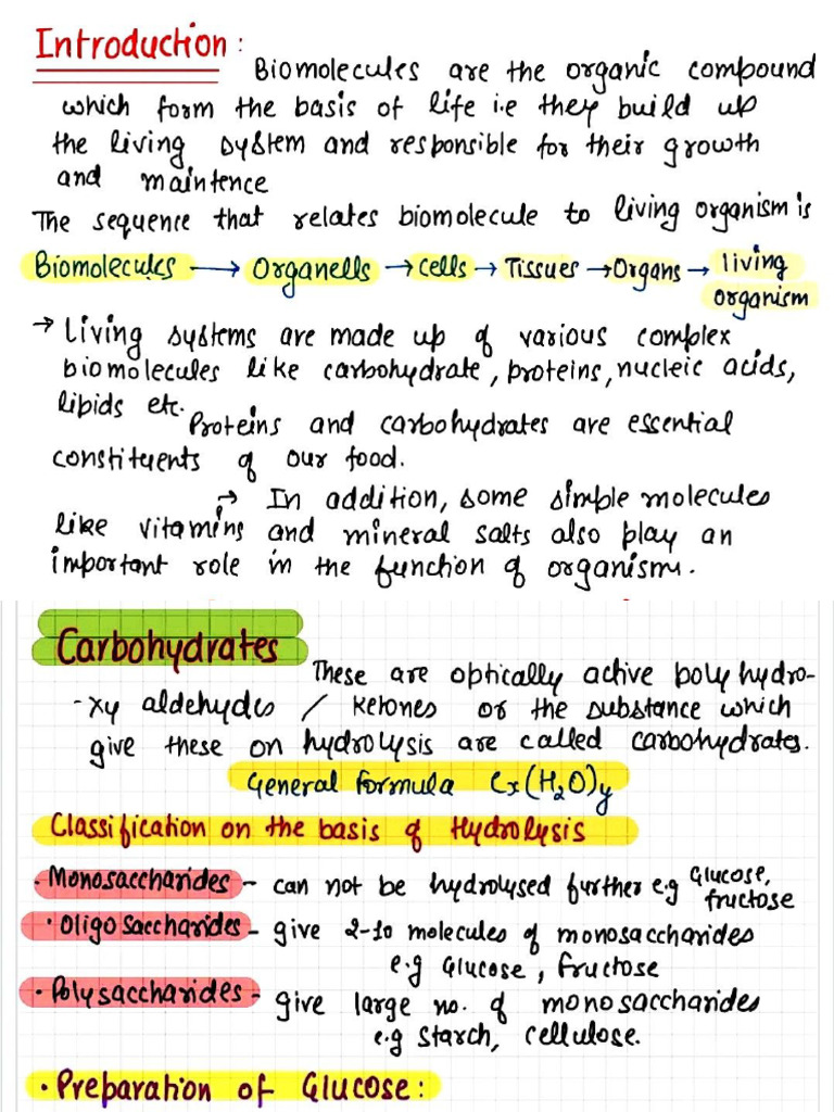 Biomolecules Notes | PDF