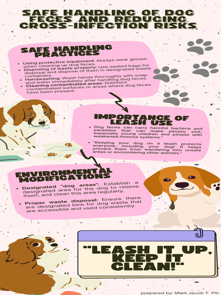 Safe Handling of Dog Feces Guidelines | PDF