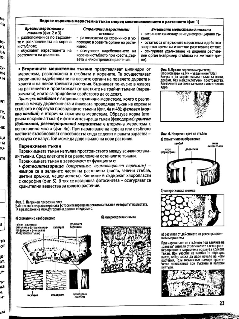 Tukani | PDF