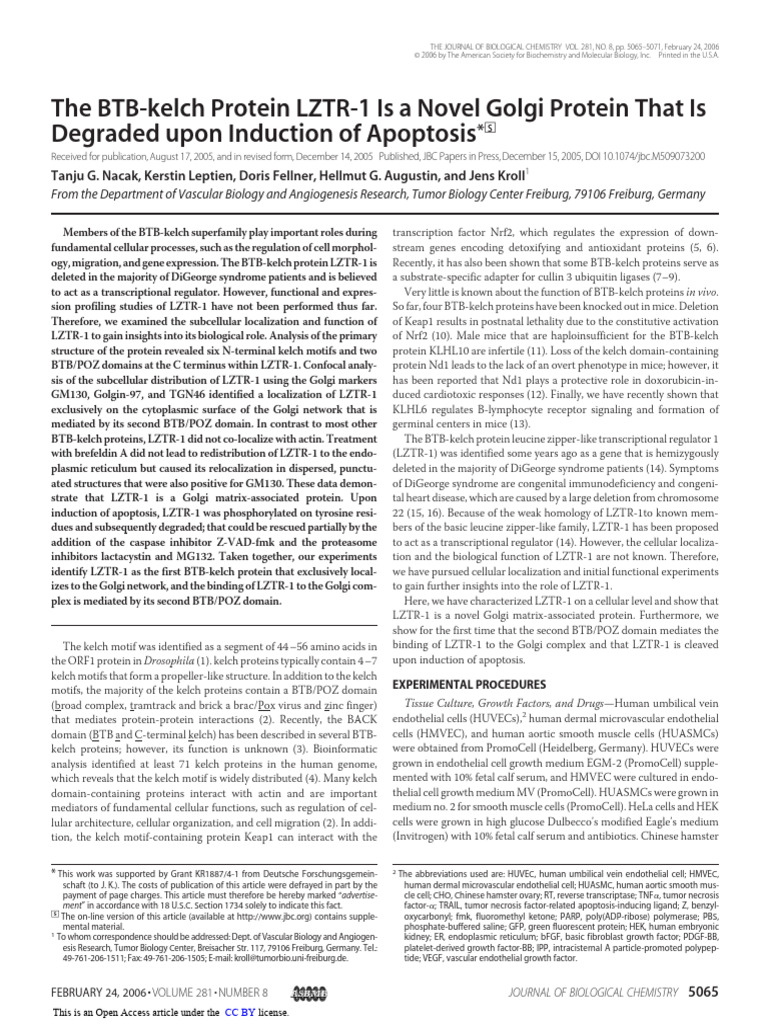 6.the BTB Kelch Protein LZTR1 Is A Novel Golgi Protein | PDF ...