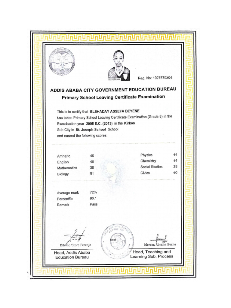 Elshaday RESUME | PDF