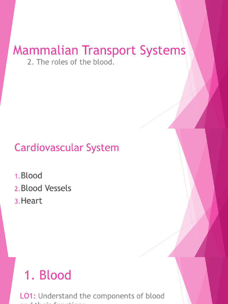 1B Mammalian Transport Blood Functions | PDF