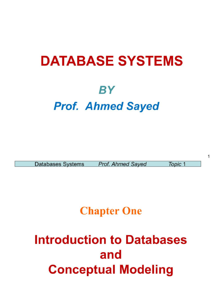 Topic 1 Introduction To DBs Conceptual Modeling FC | PDF