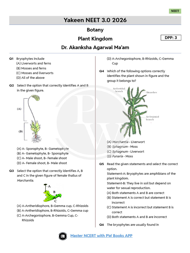 Akajsjajaja Ajajsjjaa | PDF | Spore | Botany