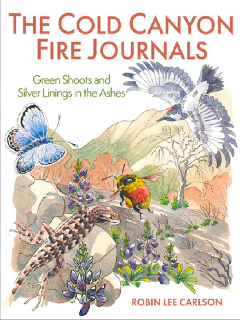 The Cold Canyon Fire Journals: Green Shoots and Silver Linings in The ...