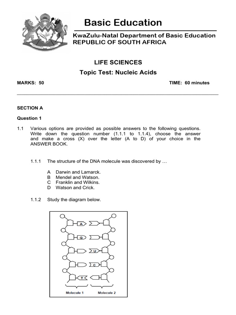Grade 12 Topic Tests - All-1 | PDF | Ploidy | Dna
