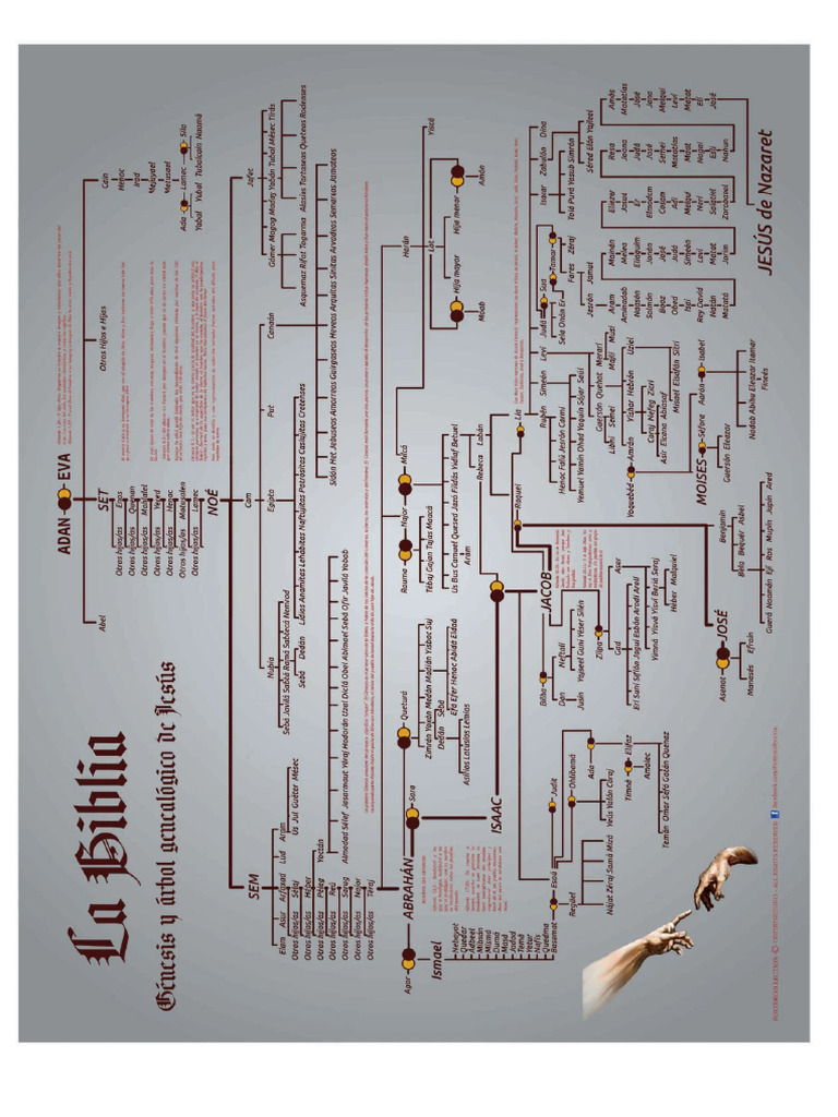 Gen Alogia | PDF