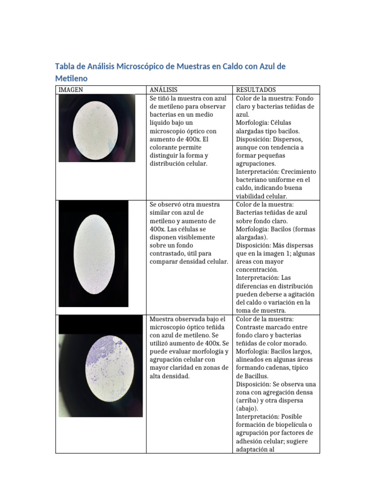Analisis Microscopico Muestras | PDF | Las bacterias | Biología Celular)
