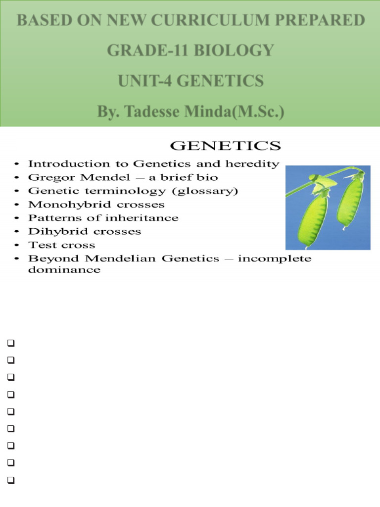 Grade 11 Genetics Curriculum Overview | PDF | Meiosis | Mitosis