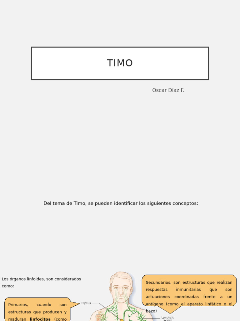 Estructura y Función del Timo | PDF | Timo | Linfocitos