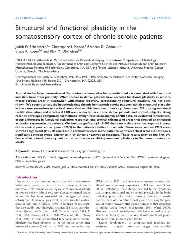 (BRAIN) Structural Plasticity in Stroke Patients | PDF ...
