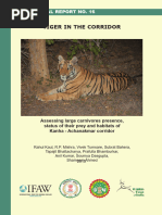 Minimum Enclosure Sizes for Exotic Animals | PDF | Crocodile | Zoo