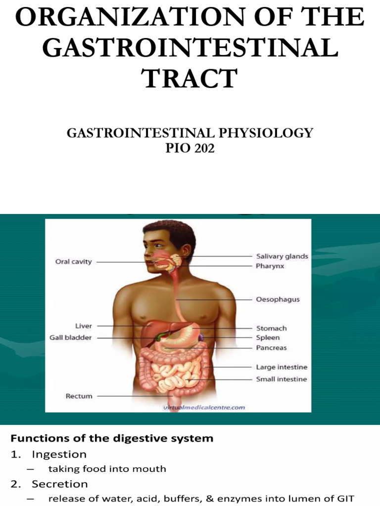 Organization of The GIT | PDF