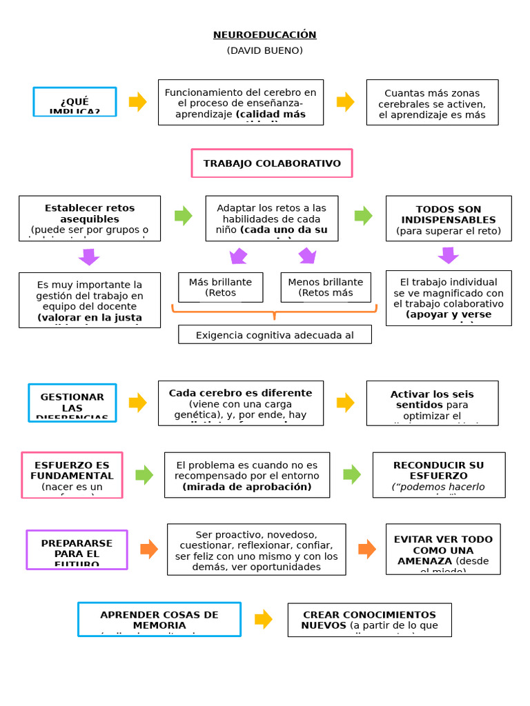 Neuroeducación David Bueno Pdf Aprendizaje Metacognición