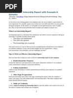 Internship Report Structure Guide | PDF