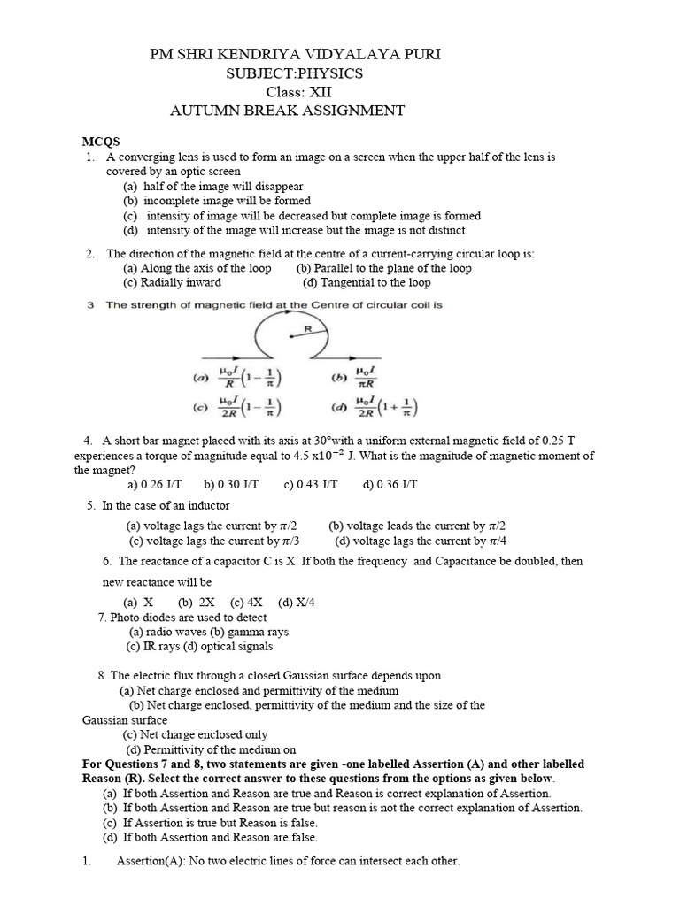 Autumn Break Holiday Homework XII Physics | PDF | Capacitor | Capacitance