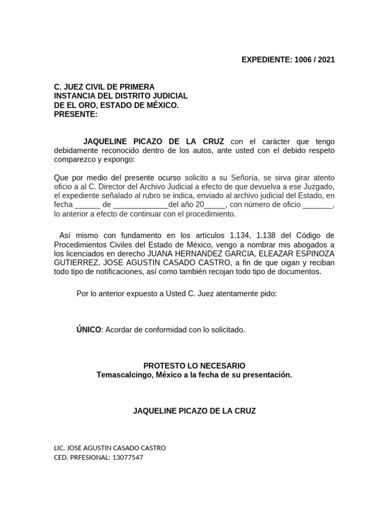 Solicitar Expediente Del Archivo | PDF