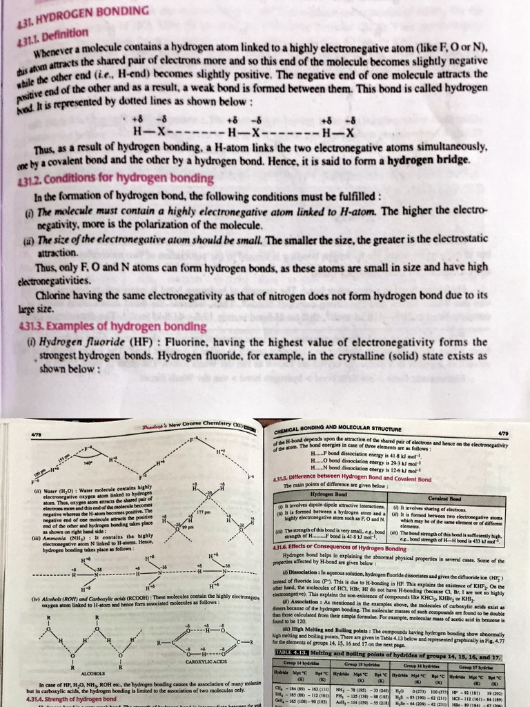 Understanding Hydrogen Bonding Basics | PDF | Chemical Bond | Hydrogen Bond