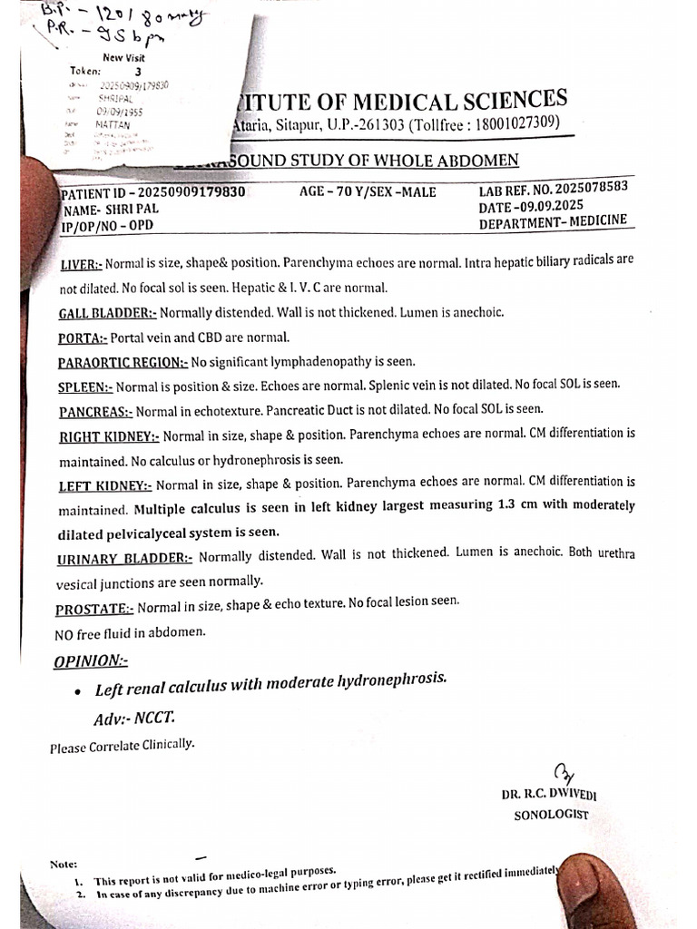 Usg Reports | PDF