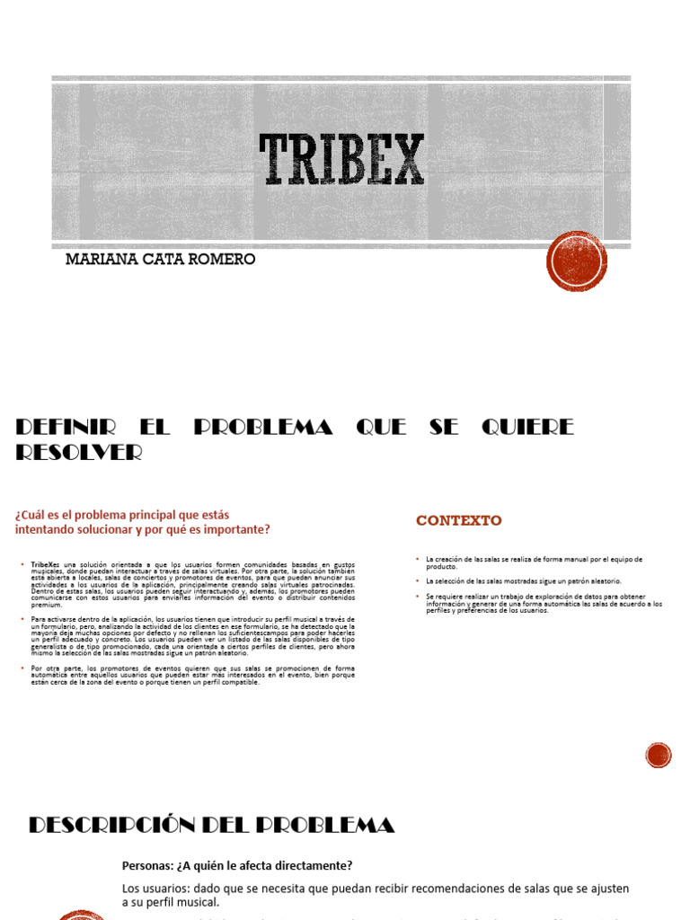Definición del Problema en TribeX | PDF | Informática