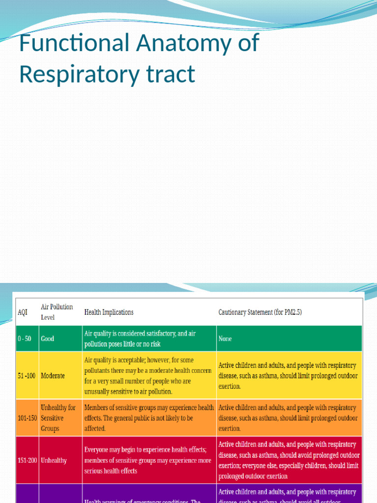 Anatomy and Functions of the Respiratory System | PDF | Respiratory ...