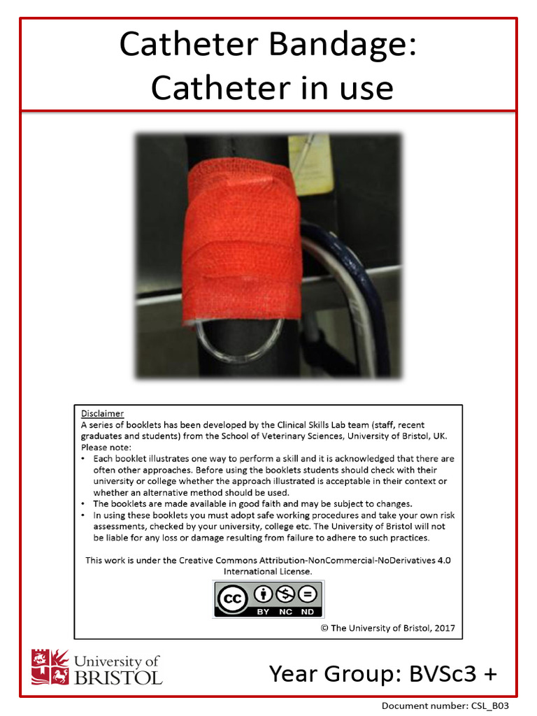 Catheter Bandage - Catheter in Use | PDF