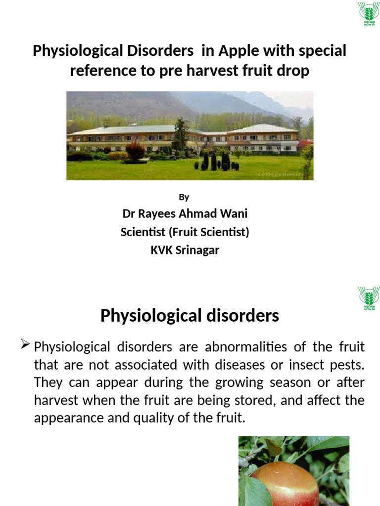 Apple Physiological Disorders Overview | PDF | Apple | Botany