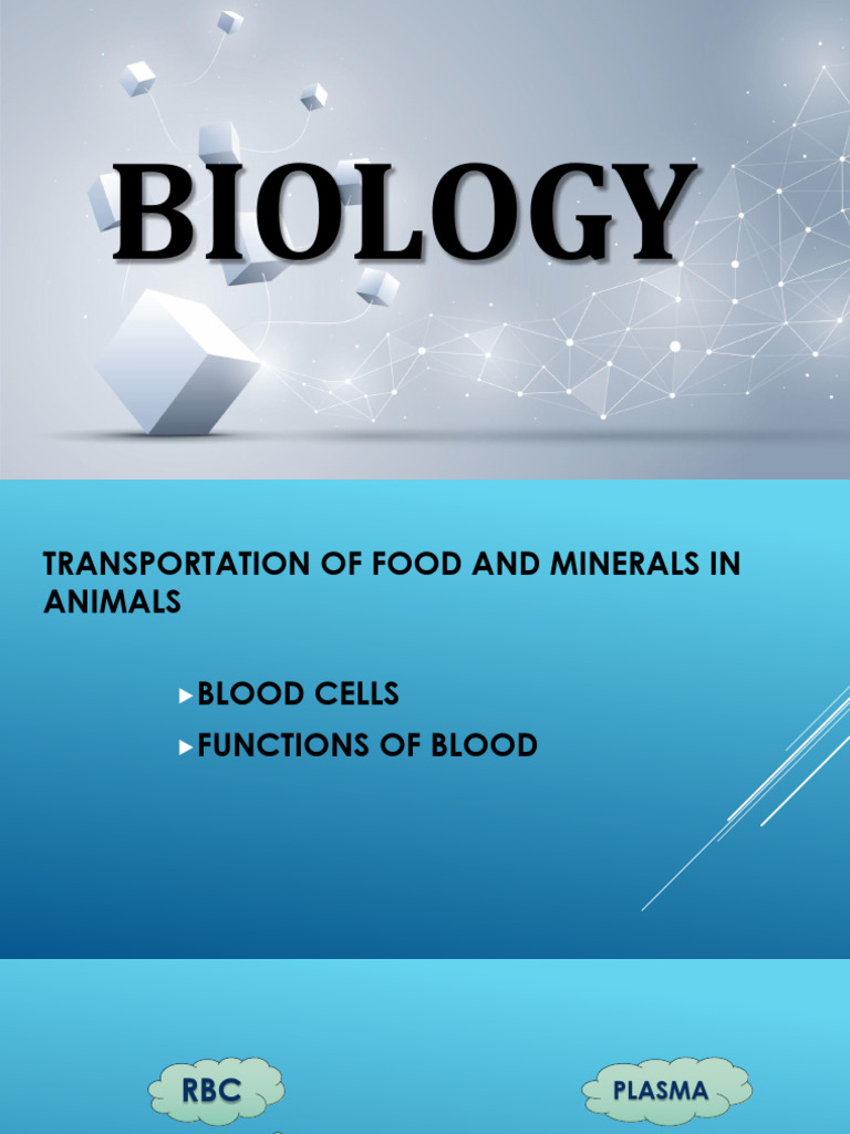 Blood Cells | PDF