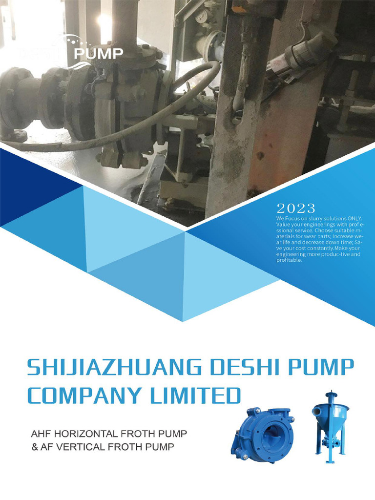 06 Froth Pump Froth Slurry Pump Ahf Af Horizontal Vertical Foam Replace ...