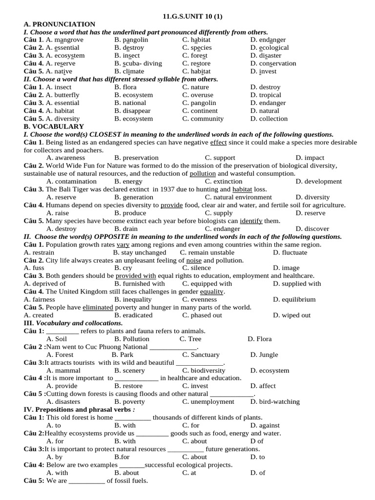 Unit 10-Exercises | PDF | Deforestation | Rainforest