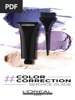 iNOA Color Chart and Application Guide | PDF | Allergy | Color