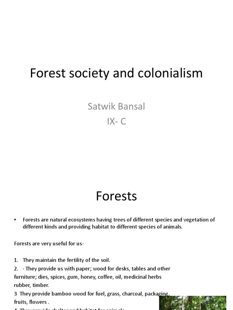 Forest Society and Colonialism | PDF | Forestry | Forests