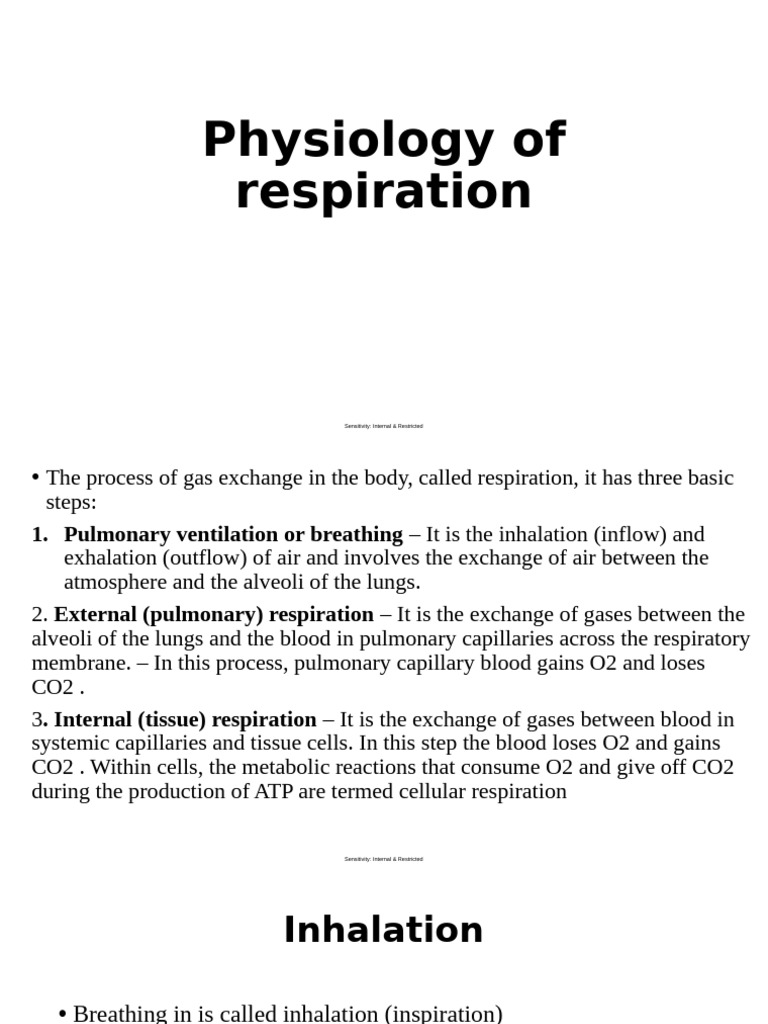Physiology of Respiration About Functioning | PDF | Respiratory System ...