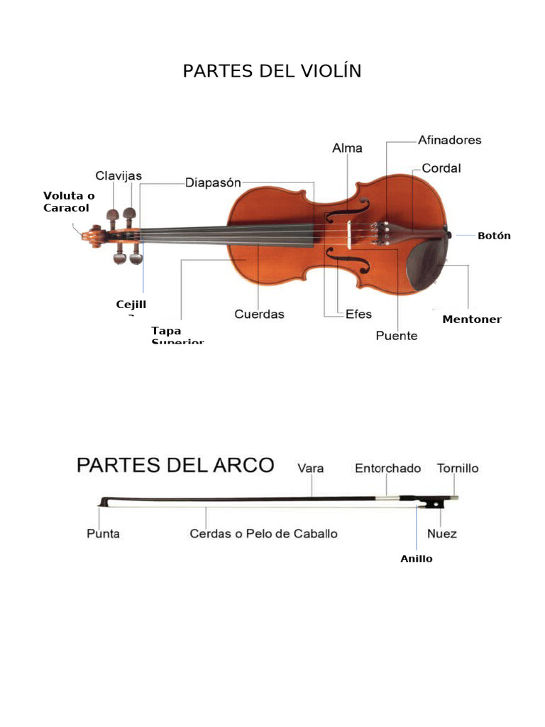 Partes Del Violin | PDF