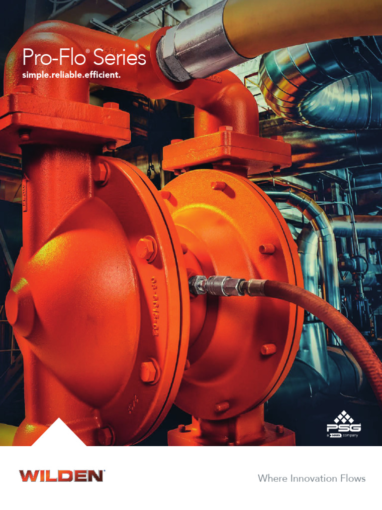 Wilden Pro-Flo® Series Pump Overview | PDF | Pump | Valve