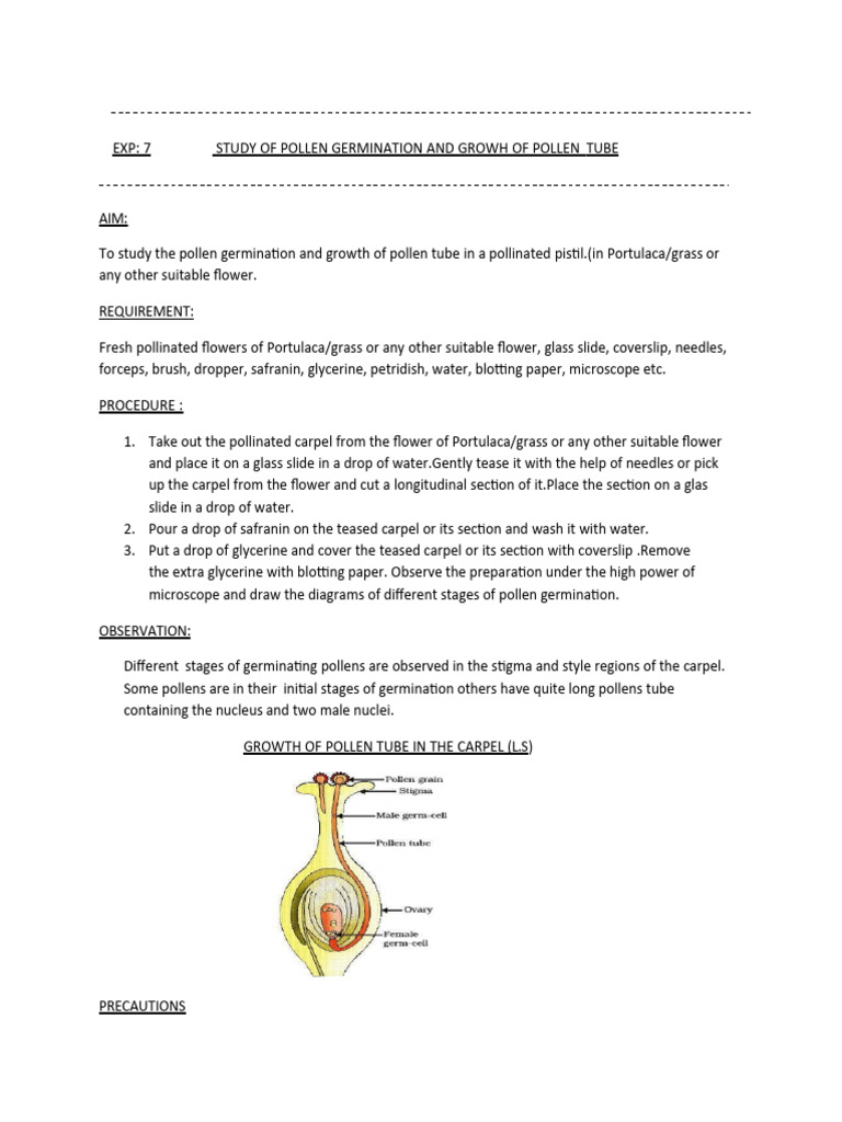 Experiment - 7 Study of Pollen Germination On Stigma Through A ...