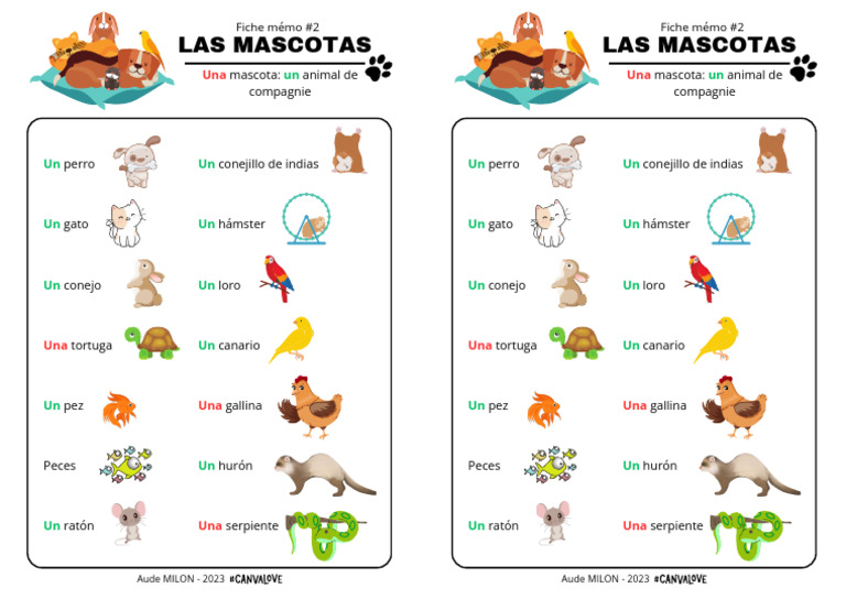 Tipos de mascotas comunes y cuidados | PDF