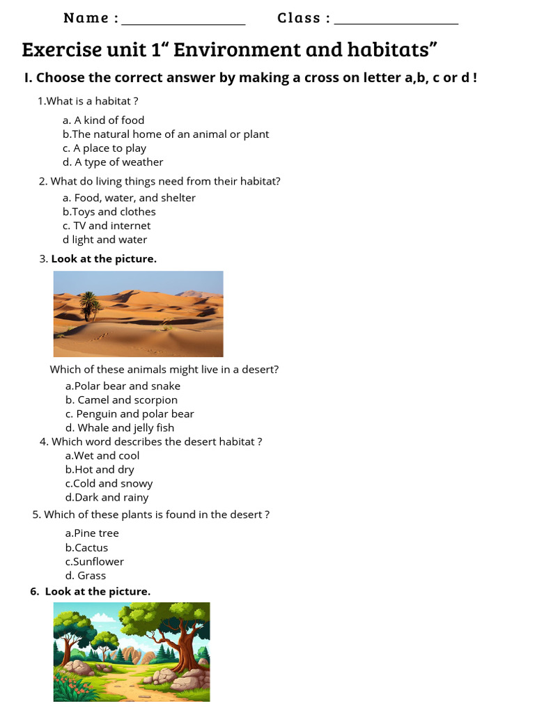 Year 2 Exercise: Habitats Quiz | PDF