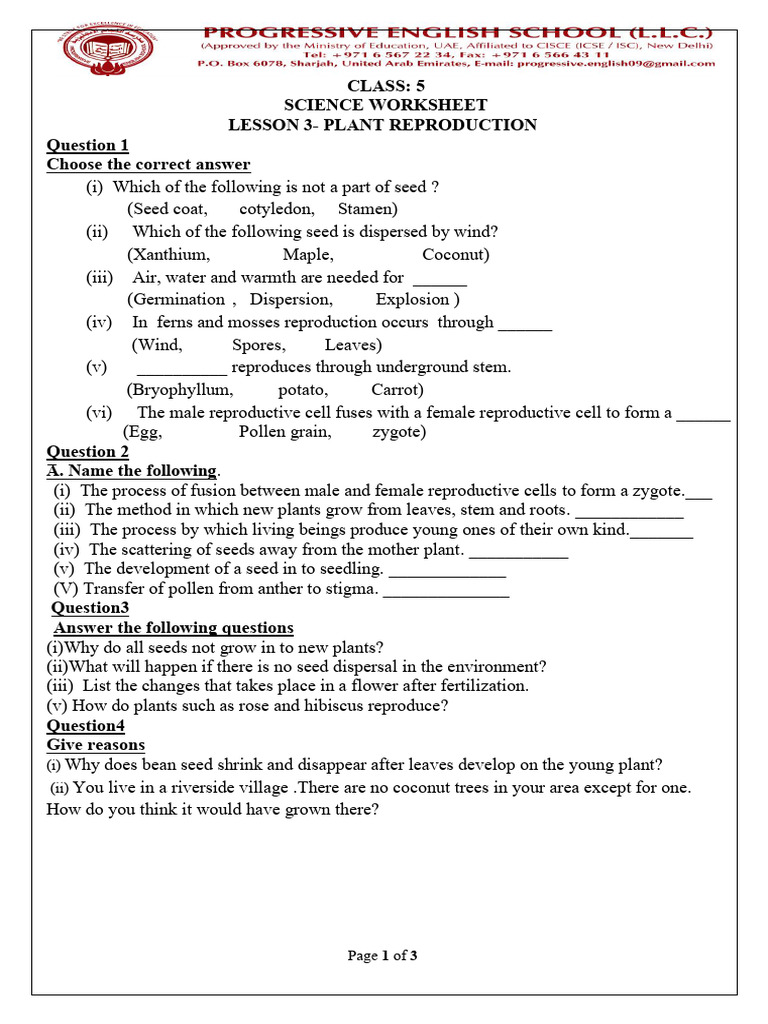 Science-Class 5-WS-Plant Reproduction2025 | PDF | Seed | Plants